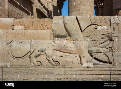 A Bas Relief Depicting A Lion At The Temple Of Kom Ombo Along The Nile