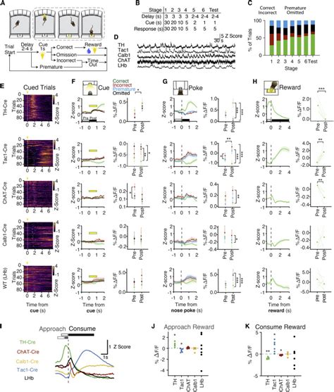 Cell Type Specific Population Dynamics Of Diverse Reward Computations Cell