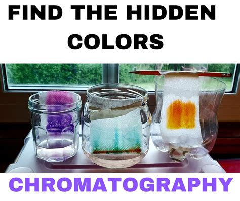 Paper Chromatography Amrita Lab At James Engel Blog
