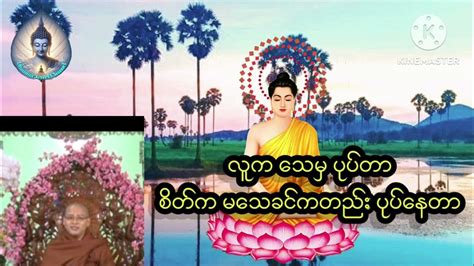 လူကသေမှ ပုပ်တာ စိတ်တွေက မသေခင်ကတည်း ပုပ်နေကြတယ် ကိုးရီးယား ဆရာတော် မနာပဒါယီ Youtube