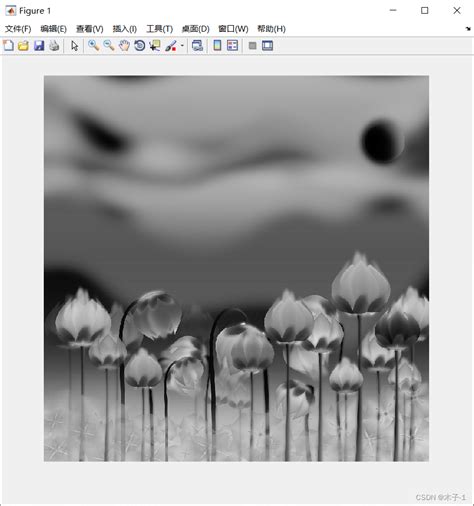 Matlab图像处理之图像类型的转换mtalab中rgb值转换为灰度值 Csdn博客