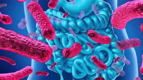 Electroceutical To Fix Bowel Flora Youtube