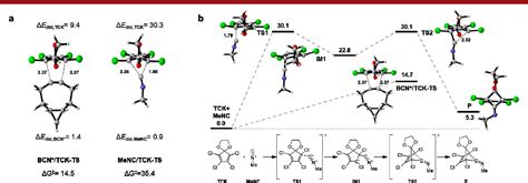 Figure 3 From Orthogonal Inverse Electron Demand Cycloaddition Reactions Controlled By Frontier