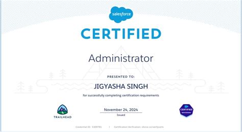 Jigyasha Singh On Linkedin Salesforcecertified 12 Comments