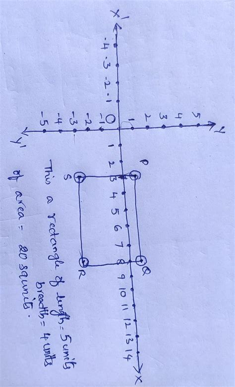Plot The Points P 3 1 Q 8 1 R 8 3 S 3 3 What Type Of Figure Do You Get By Joining