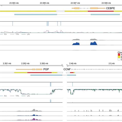 Chromatin Interacting Regions Explain Gene Expression Correlation With Download Scientific