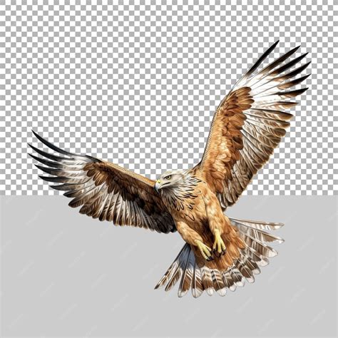 투명 한 배경 에 날아가는 독수리 Ai 생성 프리미엄 Psd 파일