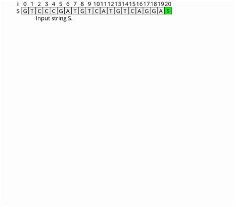 Bwt And Fm Index Curiouscoding