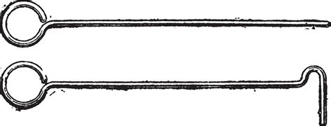 Ringard Vintage Engraving 35467679 Vector Art At Vecteezy