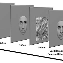 Eye Matching Task Trial Sequence