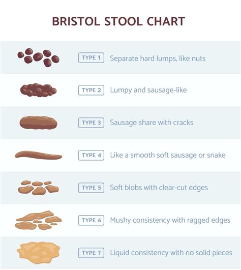 Everything You Need To Know About The Bristol Stool Chart
