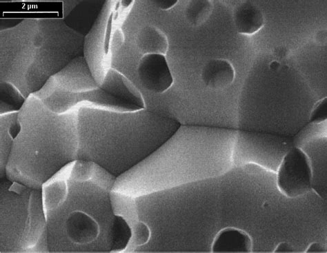 Sem Micrographs Of Fractured Surfaces Of Pbf 2 Pellet Pressed At 74