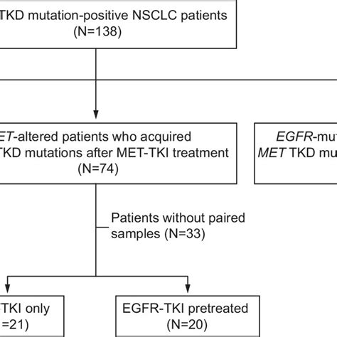 Brief Patient Case Report The Timeline Demonstrates That Egfr Mutated Download Scientific