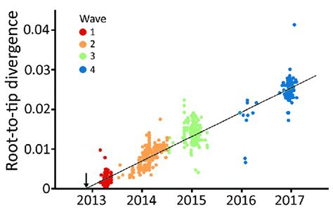 Regression Of Root To Tip Divergence Estimated From Hemagglutinin Gene