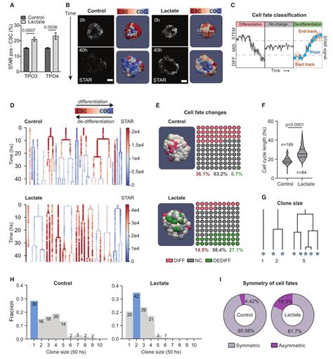 Cell Metabolism 代谢物与肿瘤：乳酸依靠表观遗传操控癌干细胞命运和可塑性 肿瘤细胞 氨基酸代谢 非靶向代谢 脂质 多组学代谢流检测分析 脂肪酸定量 肠道微生物菌群检测 麦特绘谱