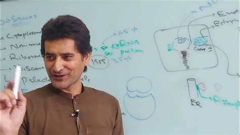 Ribosomes Youtube