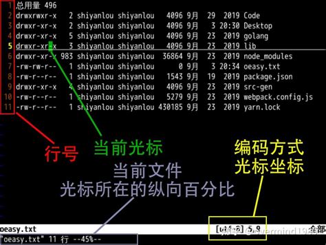 oeasy教您玩转vim 打开文件 知乎