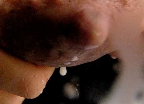 Fontana Di Trevi Barbara Philipp