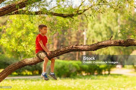 나무 가지에 앉아 여름 날에 녹색 공원에서 생각 빨간 티셔츠에 어린 소년의 측면 보기 사색에 대한 스톡 사진 및 기타 이미지 사색 소년 앉음 Istock