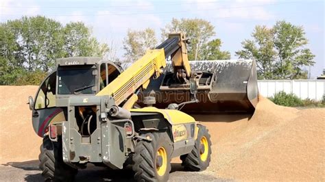 Loader Bucket Loading Grain Close Up Big Heap Of Grain Corn In A Warehouse At Food Factory