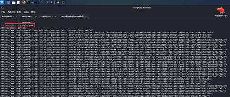 Subdomain Enumeration Leveraging Web Architectures Power Redfox Security Pen Testing Services