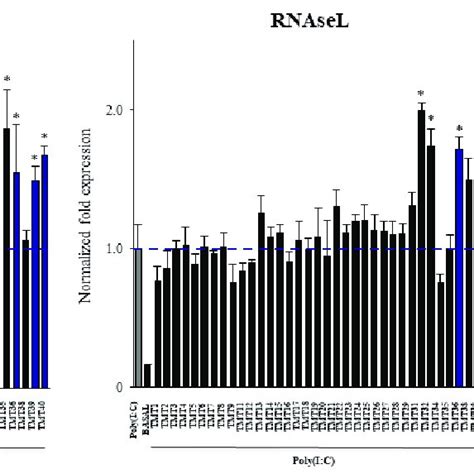 Effect Of Viable Lactic Acid Bacteria Strains On The Expression Of