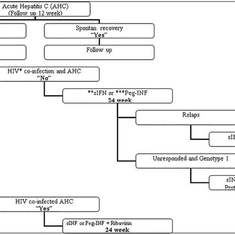 Algorithm For The Management Of Patients With Acute Hepatitis C