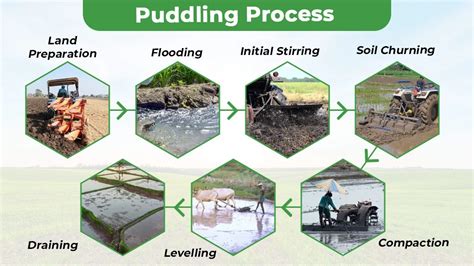How To Do Puddling In Paddy Field And Their Benefits