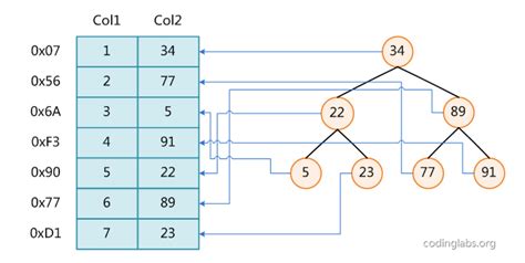 MySQL 性能优化 索引和查询优化 奇诺分享 ccino org