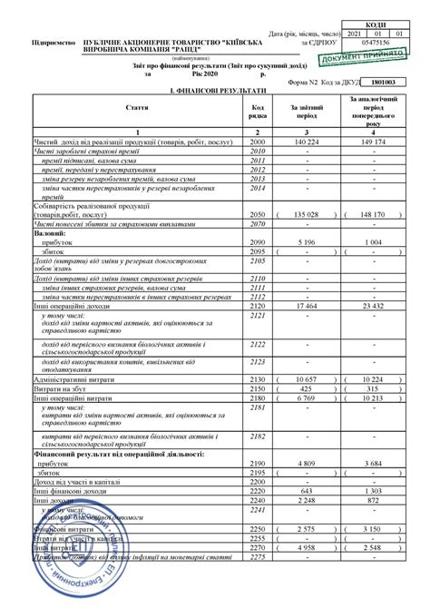 Звіт про фінансові результати за 2020 рік Rapid