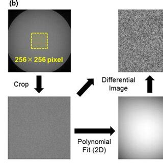 Schematic Illustration Of Image Processing With ImageJ A Image Of A Download Scientific