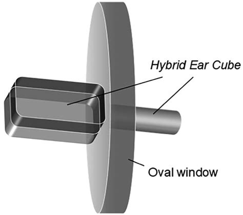 Hybrid Ear Cube The Hybrid Ear Cube Is A Silicone‐based Implant That Download Scientific