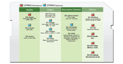 Application Formats SD Association