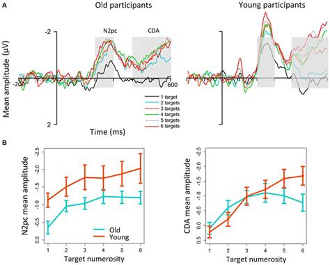 N2pc And Contralateral Delayed Activity Cda Results On Enumeration In Download Scientific