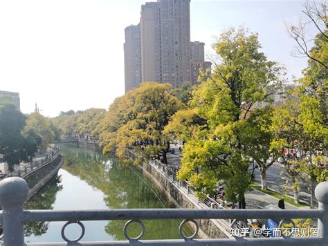 孩子不读书怎么办 知乎