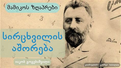 სირცხვილის აშორება იაკობ გოგებაშვილი საბავშვო მოთხრობები Mamikoszgaprebi Youtube
