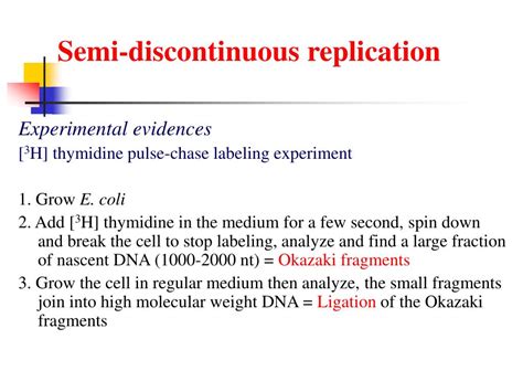 Ppt Dna Replication Powerpoint Presentation Free Download Id 3696684