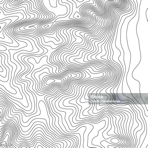 복사할 공간이 있는 지형 맵 배경입니다 선 지형 지도 윤곽 배경 지리적 격자 추상적인 벡터 일러스트입니다 추상적인 기하학적