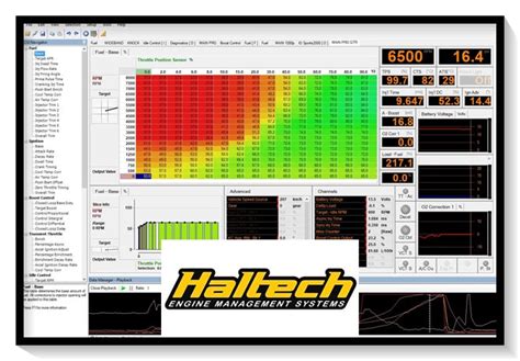 Haltech Platinum Or Haltech Elite Base Map King Tuner
