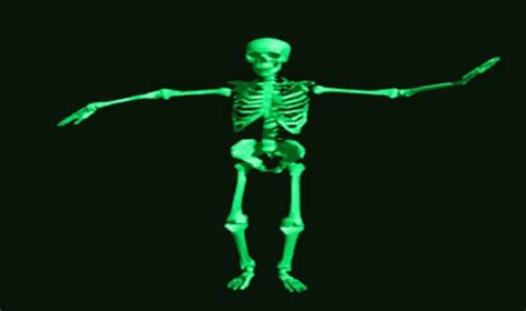 Skeleton Dancing  Skeleton Dancing Animation Discover And Share S
