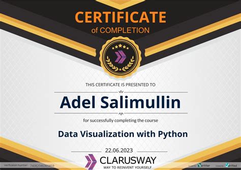 Digitalcertificate Datavisualization Python Matplotlib Adel Salimullin