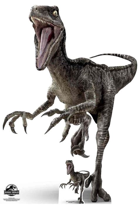 Velociraptor Blue Dinosaur Official Jurassic World Lifesize Cardboard Cutout Fruugo Ca
