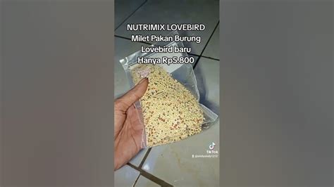 Vitavin Burung Youtube