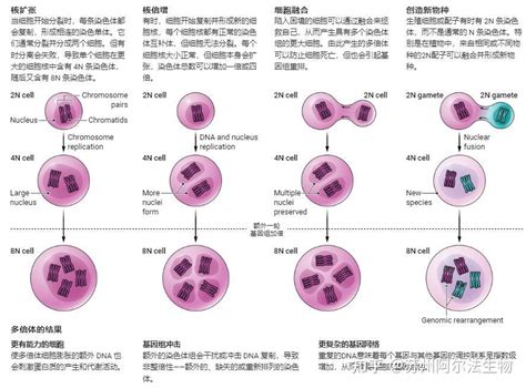 原代细胞分离纯化的详细实验步骤 知乎