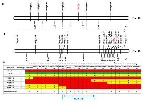 Fine Mapping And Gene Analysis Of Restorer Of Fertility Gene Carfhz In