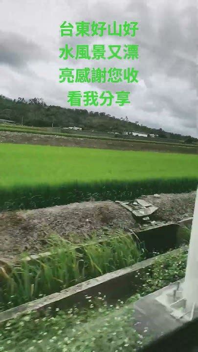 台東稻米田好漂亮 台東生活分享 Taiwantaitung Youtube