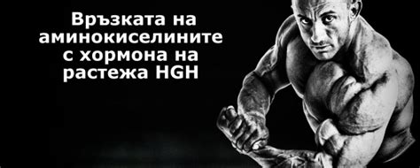 Връзката на аминокиселините с хормона на растежа Hgh 4fitness Bg