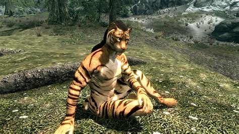 Yiffy Age Extensions Other Random Stuff Page 3 Downloads Skyrim Adult And Sex Mods Loverslab