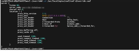 使用override问题，chat可以，补全不行，哪位佬帮忙看看 开发调优 Linux Do