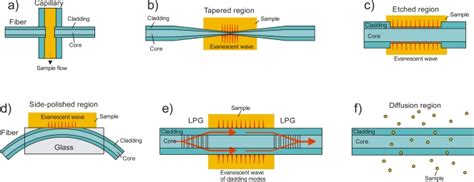 Different Types Of Sensor Elements Used In Fiber Cavity Ring Down Download Scientific Diagram